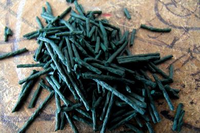 Spirulina FAQ - information and tips for new Spirulina Growers