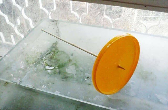 Whats A Secchi Disk And How To Use It As Your Spirumeter