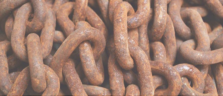 How to make a DIY Organic Iron Solution for growing spirulina