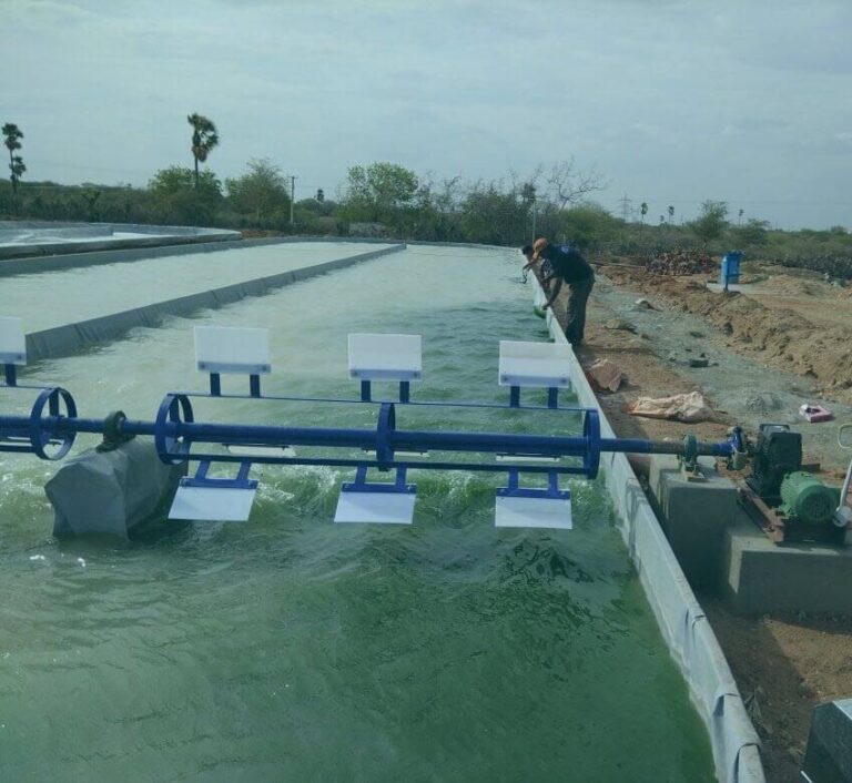 DIY Spirulina Production Farm- A Step by step Algae Cultivation Guide